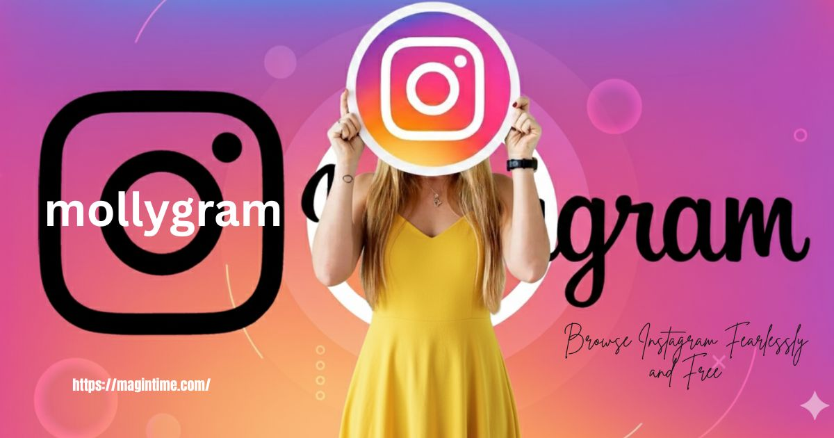 Inside Mollygram.com and the Quiet Shift Toward Anonymous Instagram Viewing
